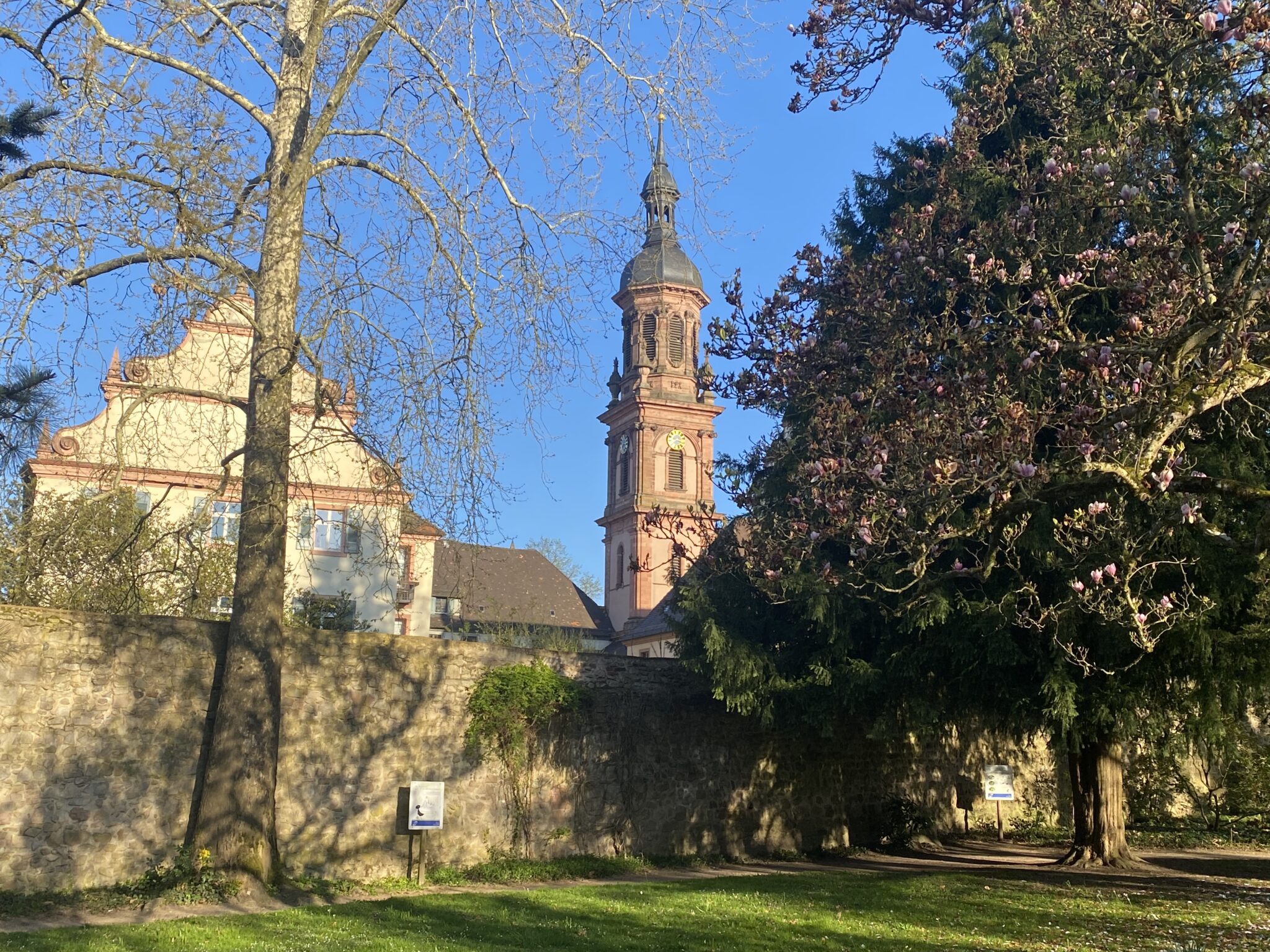 Gengenbach - Black Forest Business School